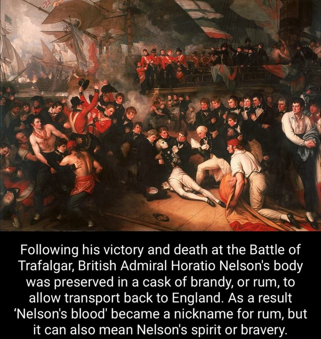 Following his victory and death at the Battle of Trafalgar, British ...