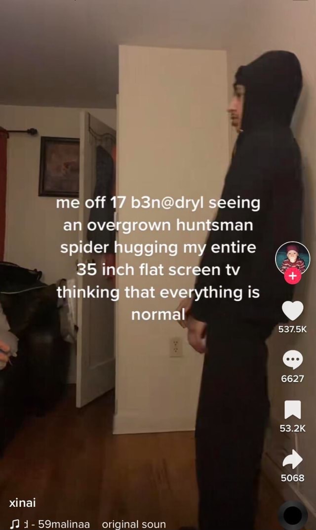 Me off 17 seeing an overgrown huntsman spider hugging my entire 35 inch ...