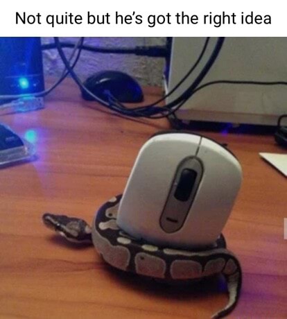 Not quite but he's got the right idea - iFunny
