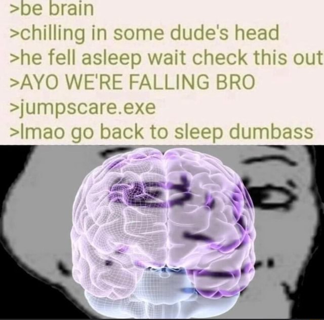 >be brain >chilling in some dude's head she fell asleep wait check this ...