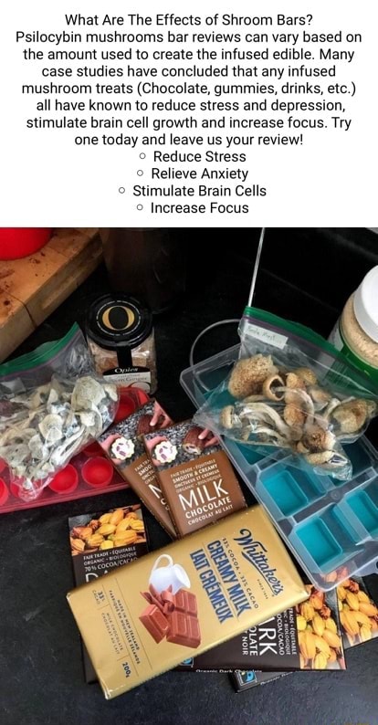 What Are The Effects of Shroom Bars? Psilocybin mushrooms bar reviews ...