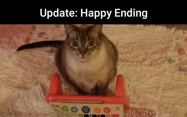 Update: Happy Ending - iFunny
