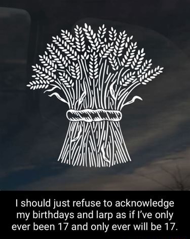 Should just refuse to acknowledge my birthdays and larp as if I've only ...