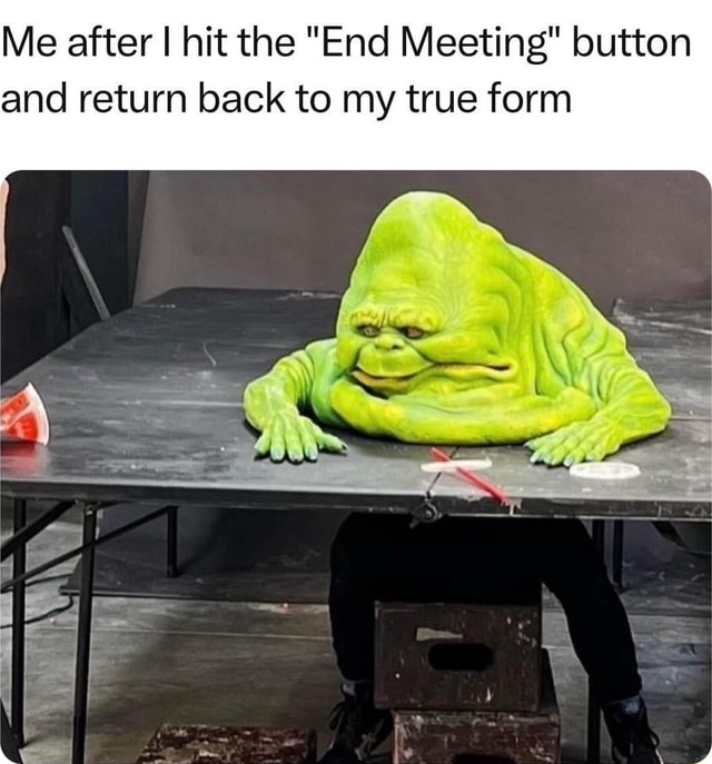 Me after I hit the "End Meeting" button and return back to my true form ...