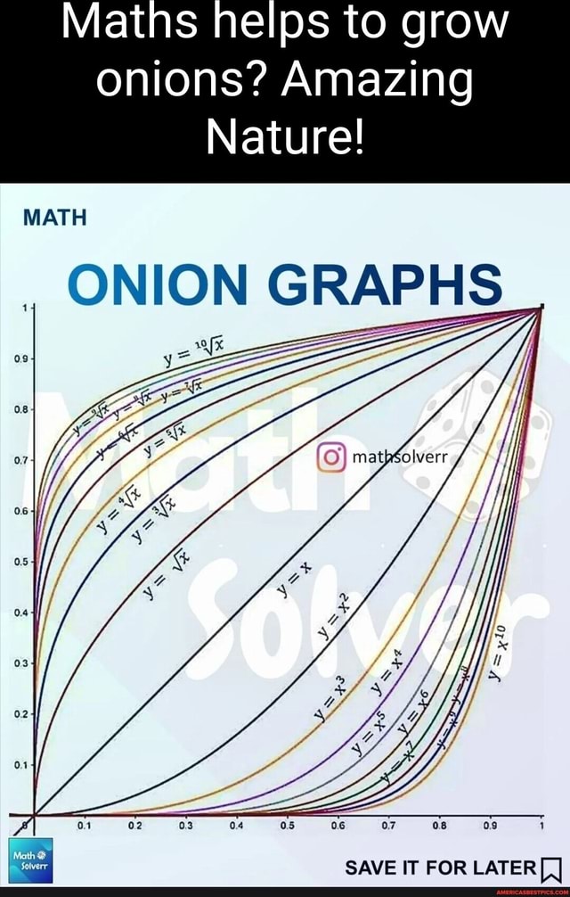 Maths helps to grow onions? Amazing Nature! MATH ONION GRAPHS SAVE IT ...