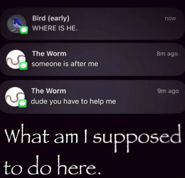 Bird (early) WHERE IS HE. The Worm ago someone is after me The Worm ag ...
