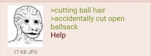 17 KB JPG >cutting ball hair >accidentally cut open ballsack Help - iFunny