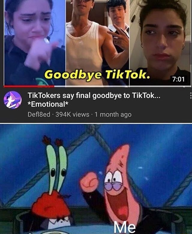 Goodbye TikTokers say final goodbye to TikTok... *Emotional* Defl8ed ...