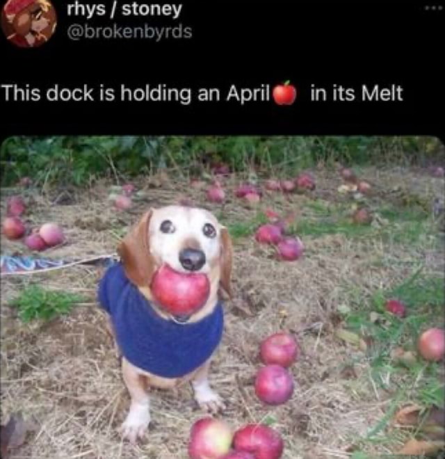 This dock is holding an April@ in its Melt - iFunny