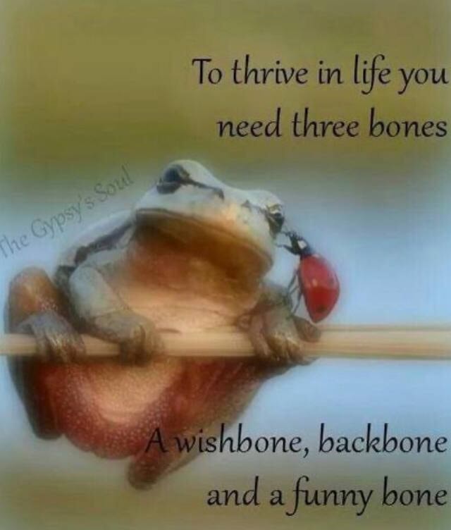 To thrive in life you need three bones is bone, backbone and funny bone ...