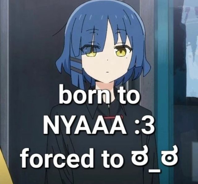 Born to NYAAA :3 forced to - iFunny