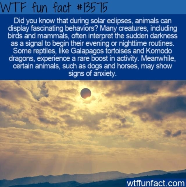 Did you know that during solar eclipses, animals can display ...