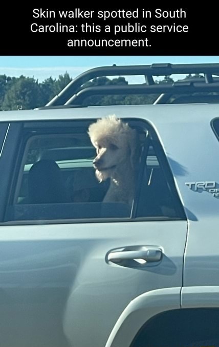 PS he saw me, I am in hiding - Skin walker spotted in South Carolina ...