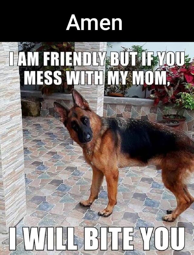 Amen AM FRIENDLY BUT IF YOU- MESS WITH MY MOM, WILL BITE YOU - America ...
