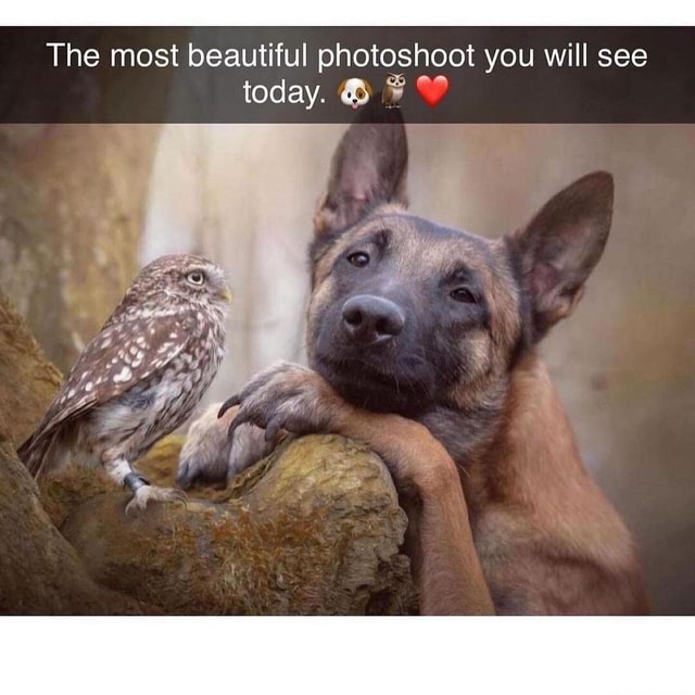 This is perfect (@tanja_brandt ) - The most beautiful photoshoot you ...