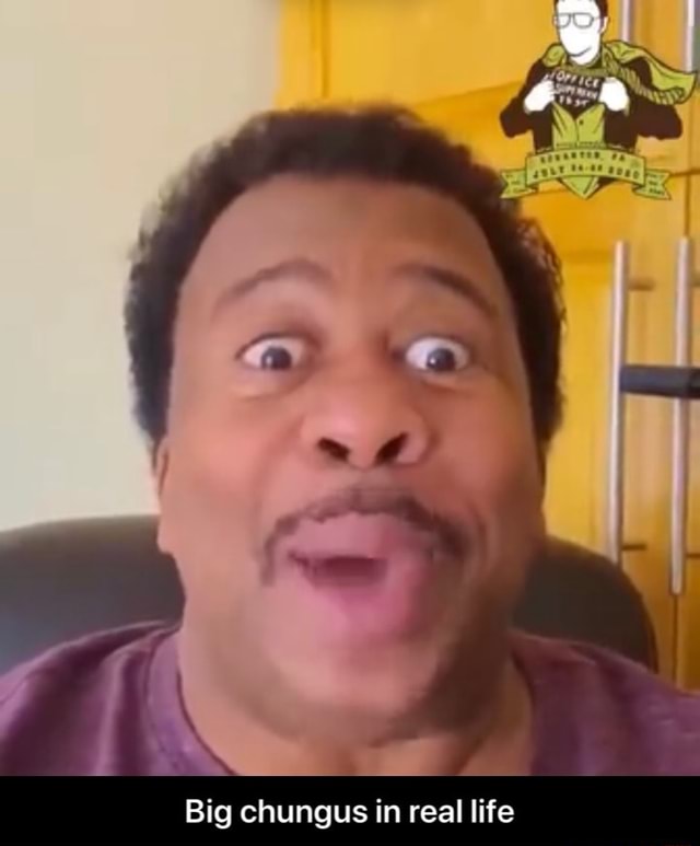 Big chungus in real life - Big chungus in real life - iFunny