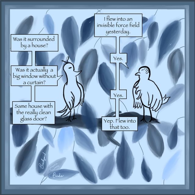 Flew into an invisible force field yester ay- Was it surrounded by a ...