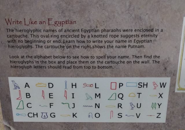 Hieroglyphic names of ancient Egyptian pharaohs were enclosed a ...