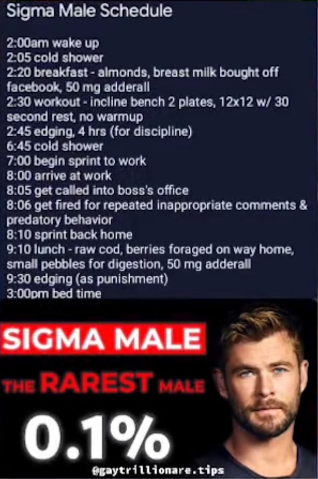 Sigma Male Schedule Wake Up Cold Shower Breakfast Almonds Breast Sigma Male Schedule Wake Up Cold Shower Breakfast Almonds Breast