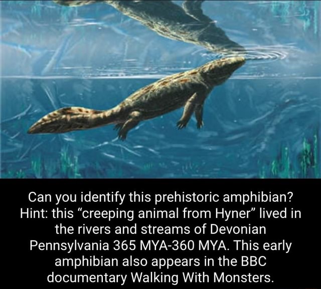 Can you identify this prehistoric amphibian? Hint: this "creeping ...