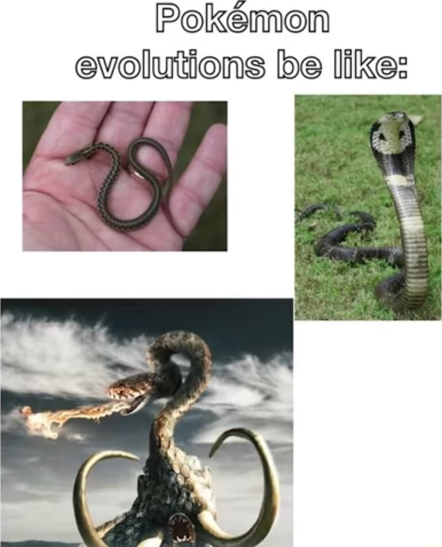 Pokemon evolutions be likes - iFunny