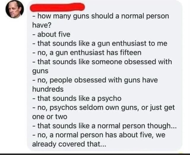 How many guns should a normal person have? - about five - that sounds ...