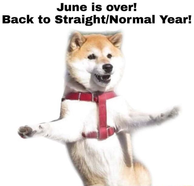 June is over! Back to Year! - iFunny
