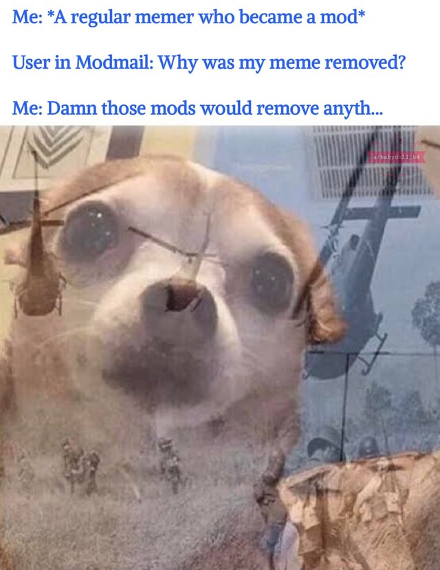 Me: *A regular memer who became a mod* User in Modmail: Why was my meme ...