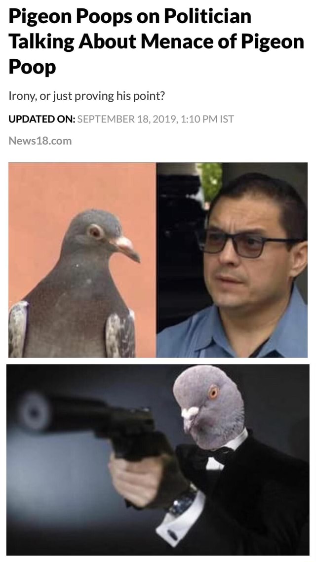 Pigeon Poops on Politician Talking About Menace of Pigeon Poop lrony ...