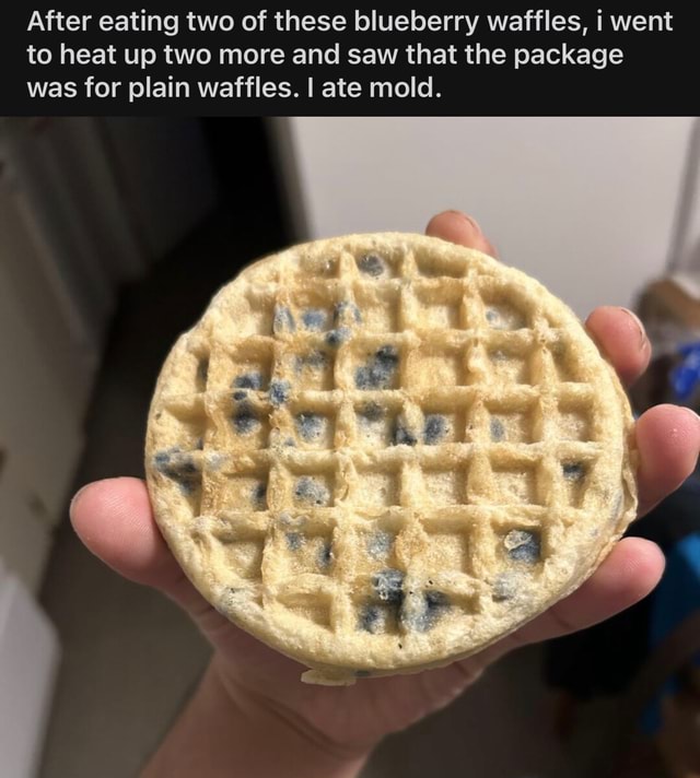 After eating two of these blueberry waffles, i went to heat up two more ...