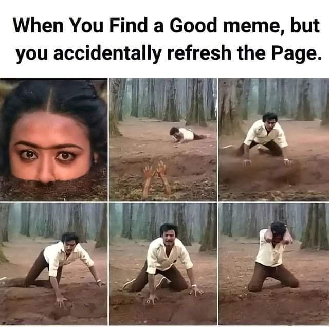 When You Find a Good meme, but you accidentally refresh the Page. +2 ...