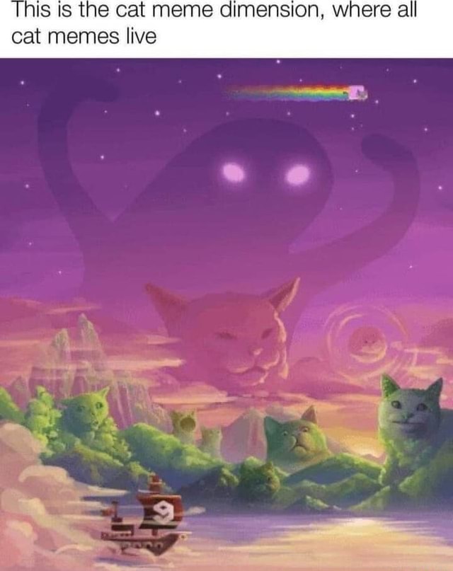 This is the cat meme dimension, where all cat memes live - iFunny