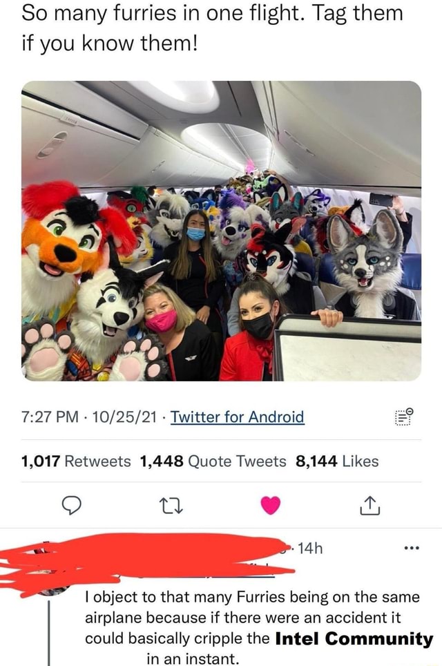 So many furries in one flight. Tag them if you know them! I PM ...