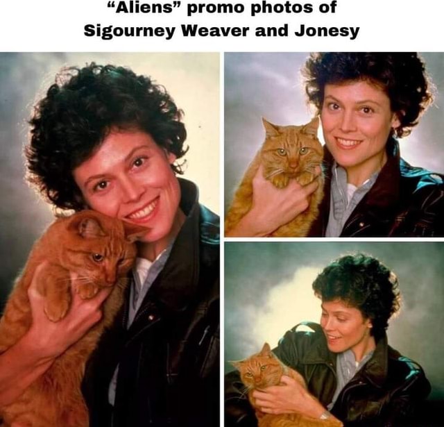 "Aliens" promo photos of Sigourney Weaver and Jonesy - iFunny