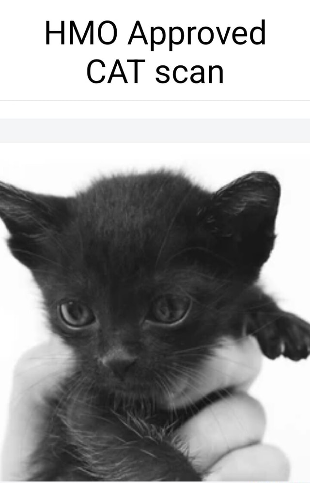 HMO Approved CAT scan - iFunny