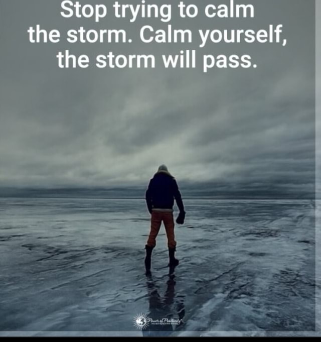 Stop trying to calm the storm. Calm yourself, the storm will pass ...