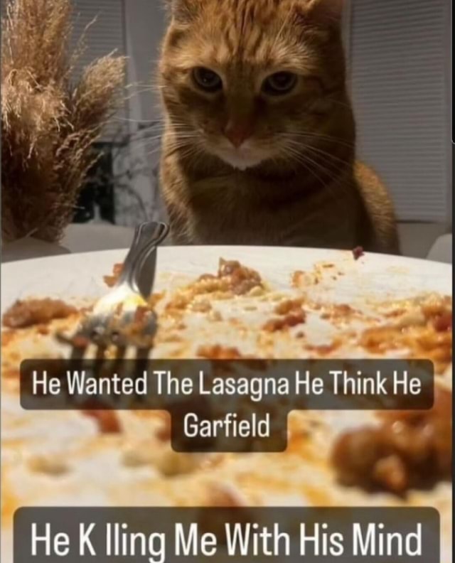 He Lasagna He Think He Garfield He K ling Me With His Mind I He Wanted ...