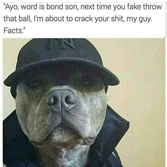 "Ayo, word is bond son, next time you fake throw that ball, I'm about ...