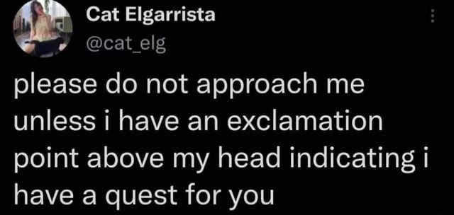 Cat Elgarrista please do not approach me unless have an exclamation ...