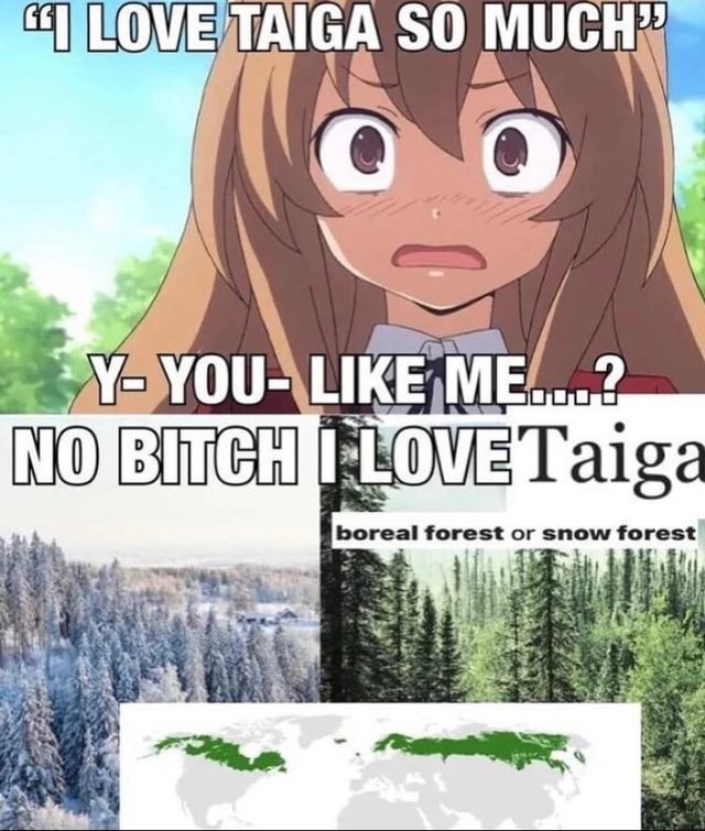 "I LOVE TAIGA SO MUCH" Taiga forest SHOW - iFunny