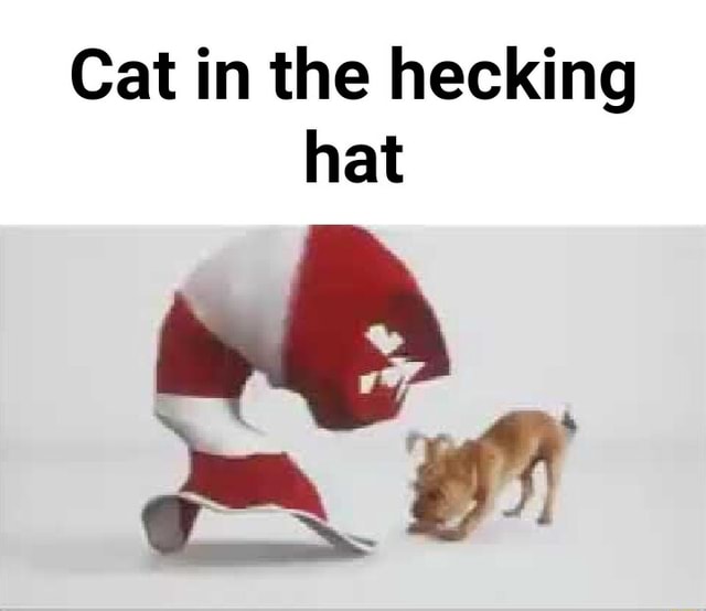 Cat in the hecking hat I - iFunny