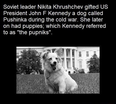 Soviet leader Nikita Khrushchev gifted US President John F Kennedy a ...
