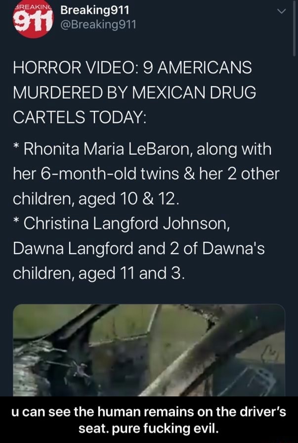 HORROR VIDEO: 9 AMERICANS MURDERED BY MEXICAN DRUG CARTELS TODAY ...