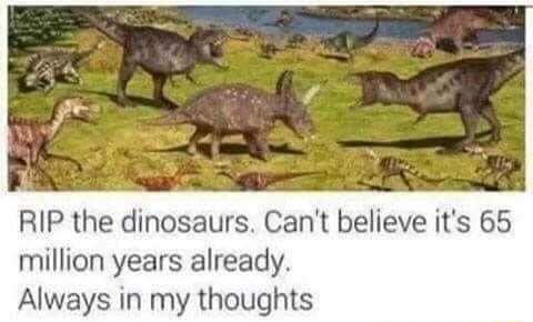 RIP the dinosaurs. Can't believe it's 65 million years already. Always ...