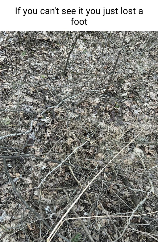 If you can't see it you just lost a foot - iFunny