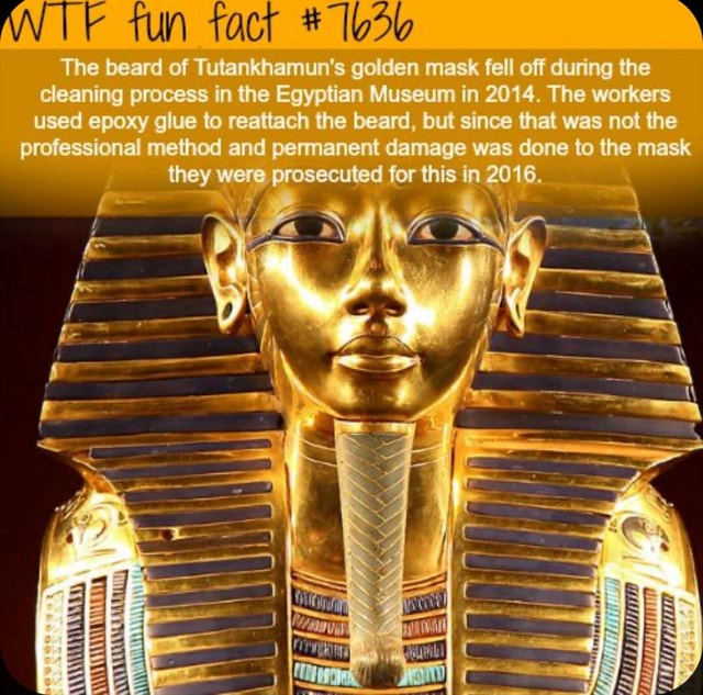 ANT tun fact The beard of Tutankhamun's golden mask fell off during the ...