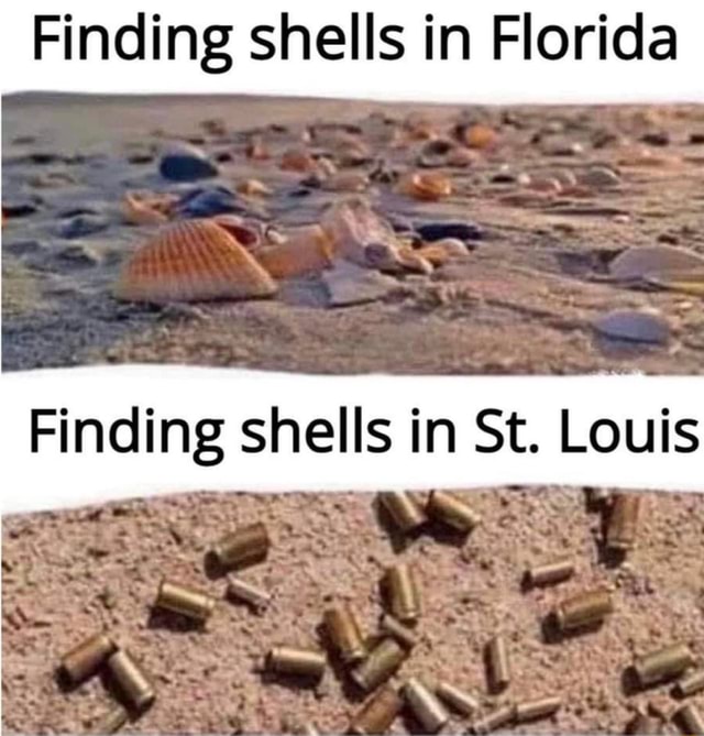 Finding shells in Florida Finding shells in St. Louis - iFunny