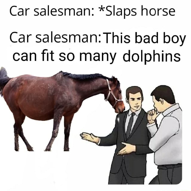 Car salesman: *Slaps horse Car salesman: This bad boy can fit so many ...