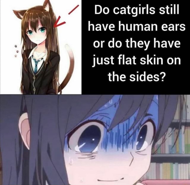 Do catgirls still have human ears or do they have just flat skin on the ...