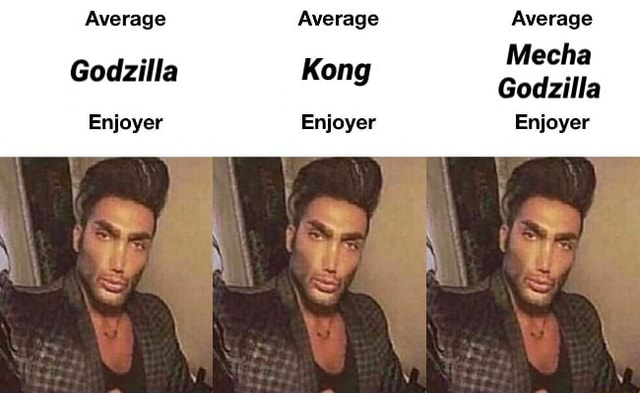 Average Godzilla Enjoyer Average Kong t! Average Mecha Godzilla Enjoyer ...